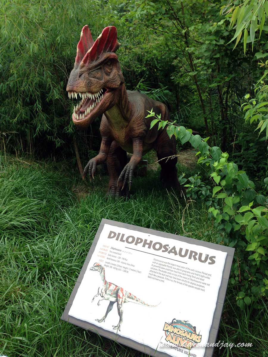 Cedar Point, July 2013