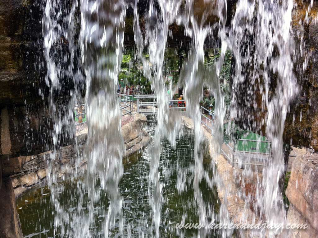 Timber Falls Adventure Park